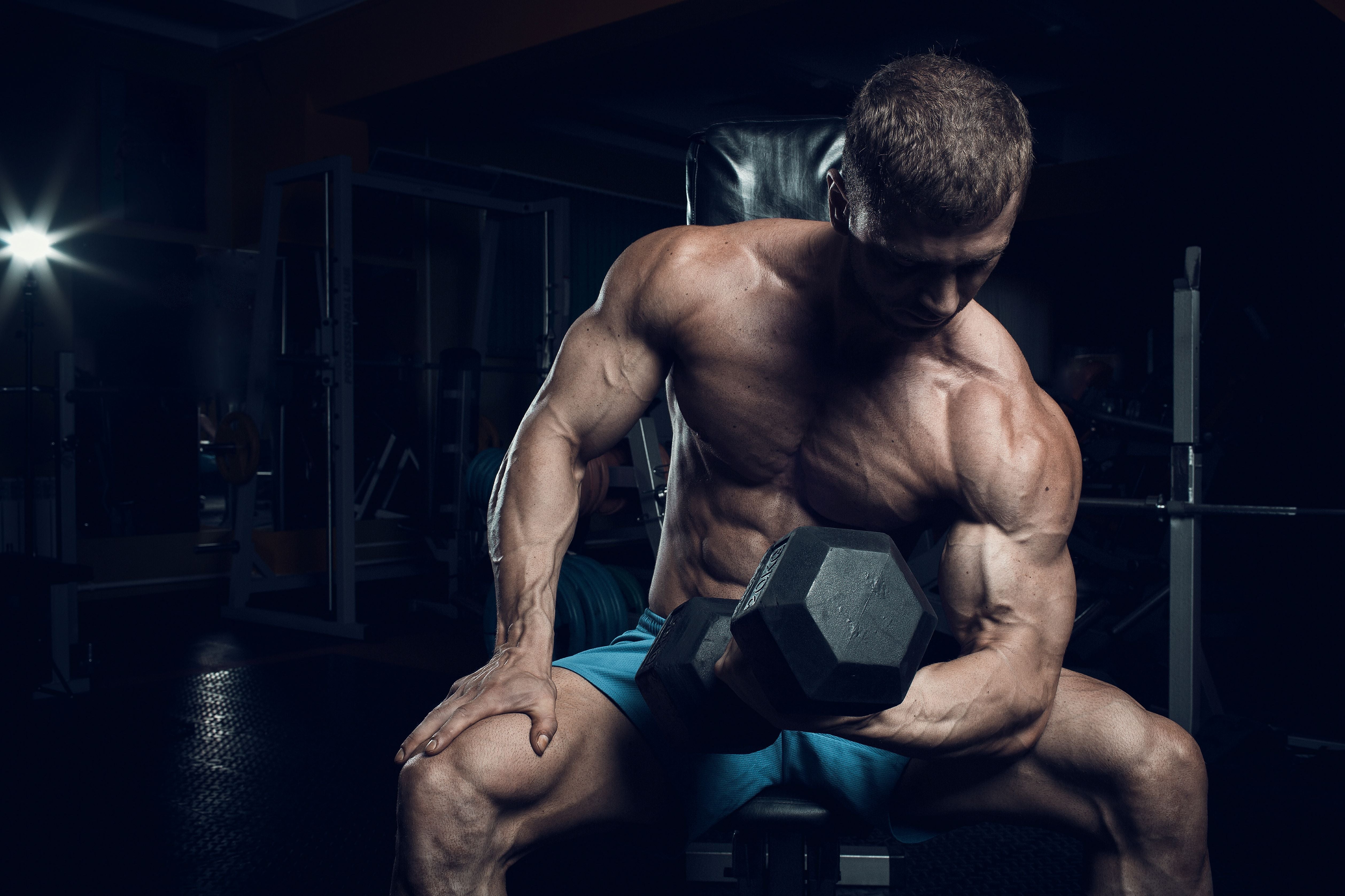Gifts for Bodybuilders: Ideas That Inspire! – Animus Medicus US