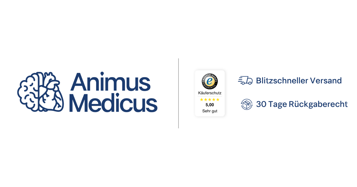 Anatomy Archives - Medical Anatomy Pictures – Animus Medicus GmbH