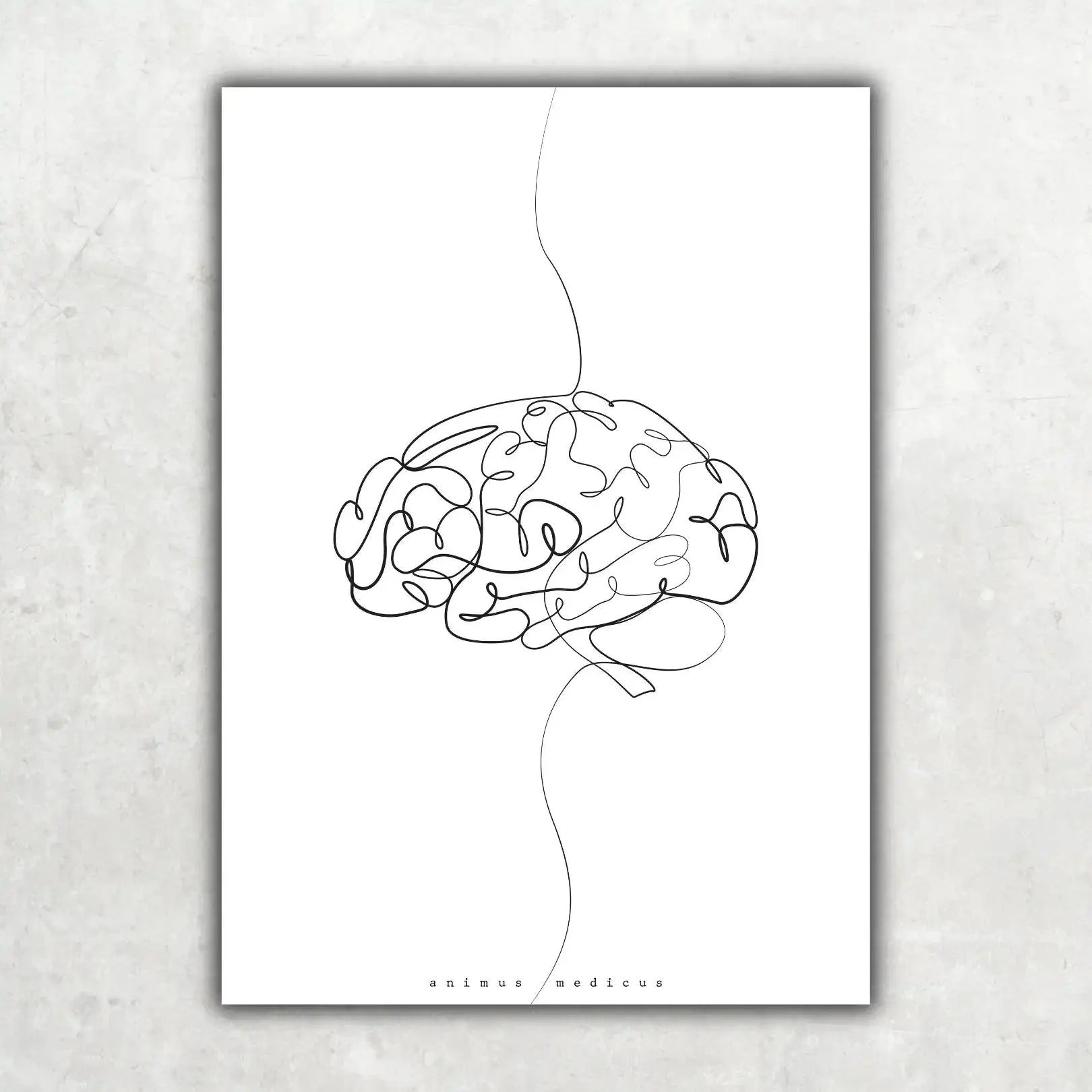 Minimalist Brain Anatomy Poster - Animus Medicus – Animus Medicus GmbH